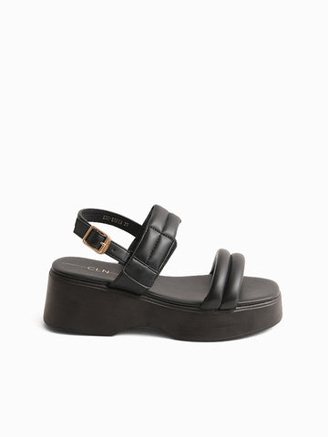 New Arrivals – CLN
